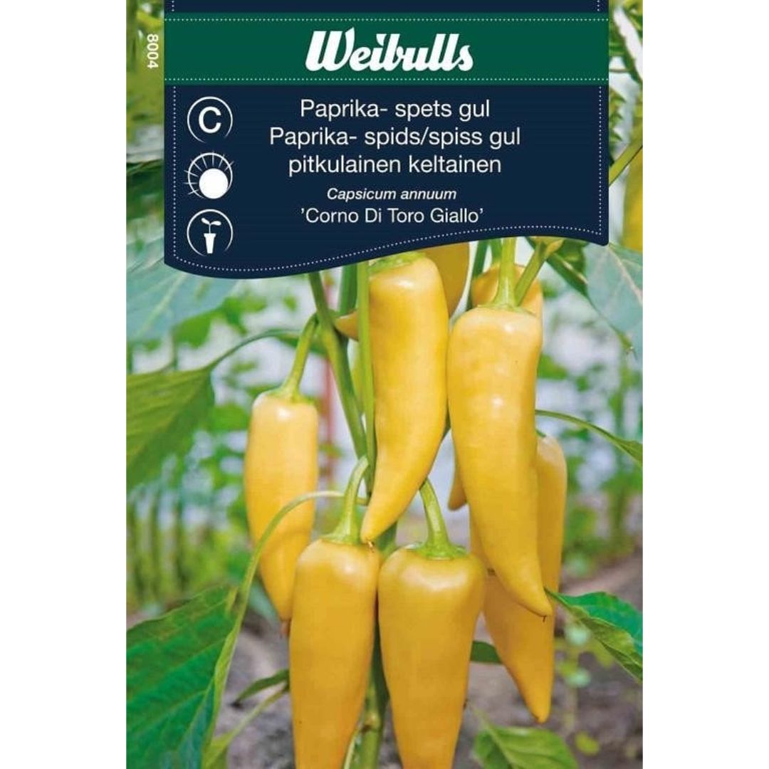 Paprika spids gul | Thisted Frø