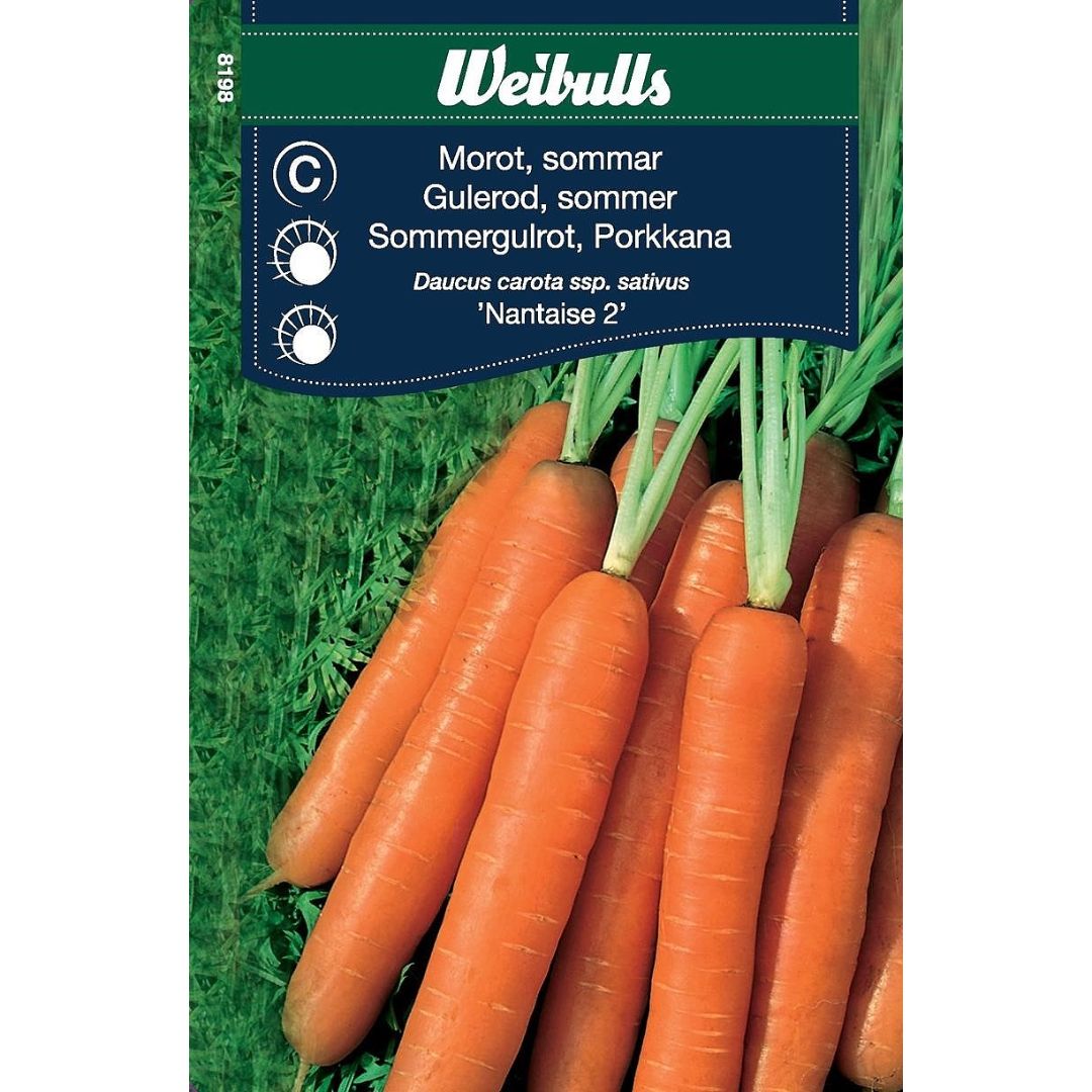 Gulerod, sommer | Thisted Frø